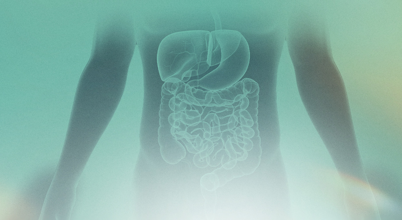 Câncer do aparelho digestivo: fatores de risco e prevenção • Combate ao ...